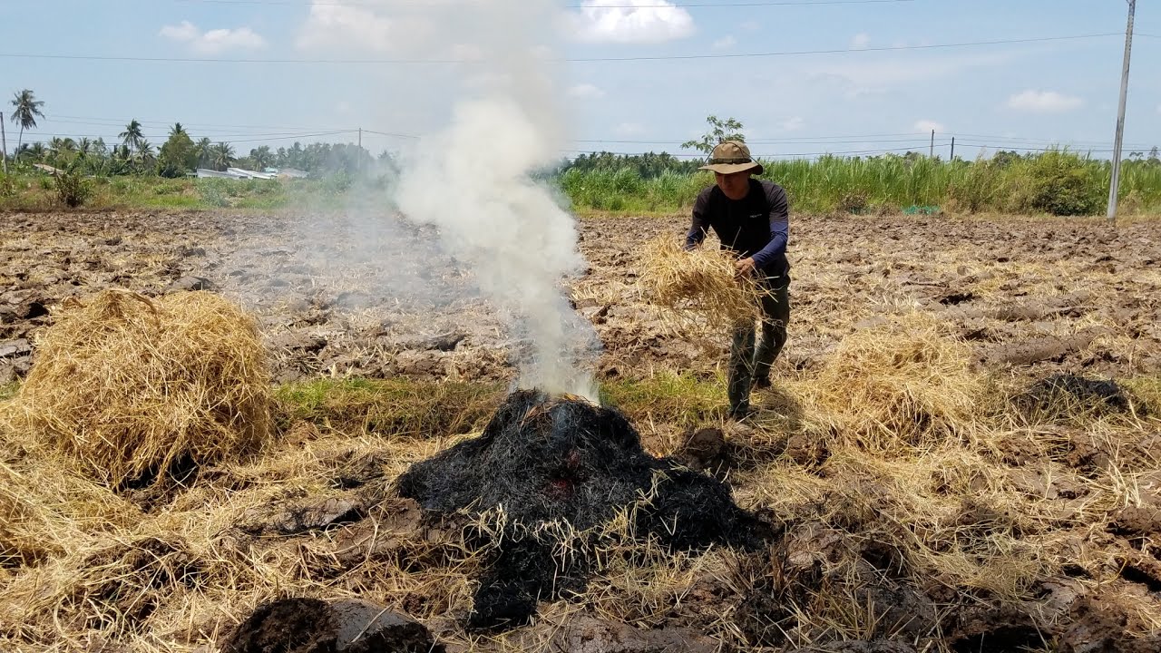 cac-mon-ngon-mien-tay-dac-sac-nhat-ngon-quen-loi-ve-1663-9 - Công Ty Du ...
